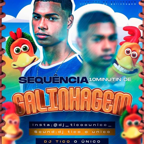 Stream SEQUENCIA 10 MINUTINHO DE GALINHAGEM (DJTICOOUNICO)BEAT DA ...