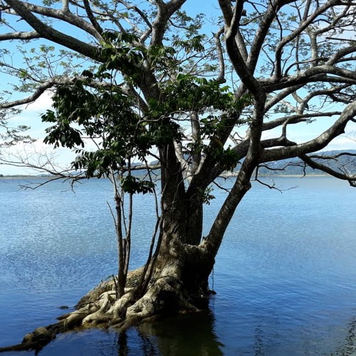 Stream English - BYD SEAL (Edited) - April 2024 by Andrew Susay ...