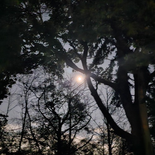 Stream Ran Out of Luck by Tone Capone | Listen online for free on ...