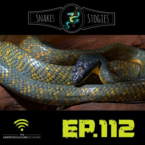 Stream Snakes & Stogies Ep. 112 - Jason Hood & Billy Hunt by The ...