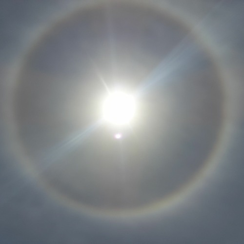 Stream Rundown_Spaz_-_Gang_Member__Official_Music_Video_(256k).mp3 by ...