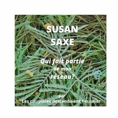 Stream Susan Saxe : Qui fait partie de mon réseau? by Les paupières ...