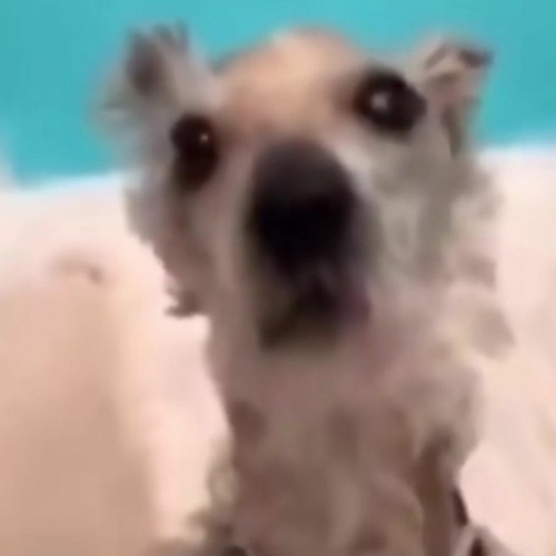 Stream Jon-z & Rican Barbie Rapidin bass boosted by RblxJit | Listen ...