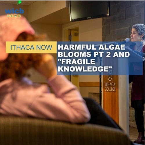 Stream "Fragile Knowledge," Presentation on Second-Generation Holocaust ...