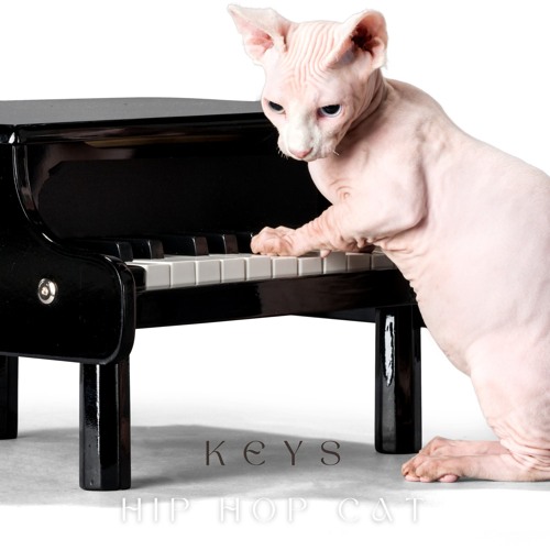 Stream Keys by Hip Hop Cat | Listen online for free on SoundCloud