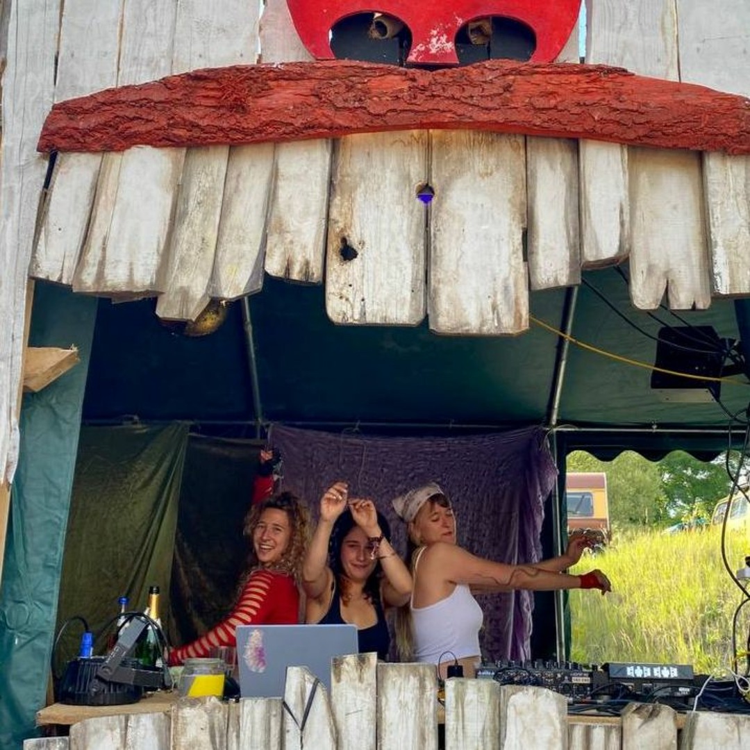 Stream Destiny's Gone Wild - independent women part II by J9a | Listen ...