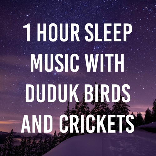 Stream 1 Hour sleep music with duduk birds and crickets binaural, theta ...