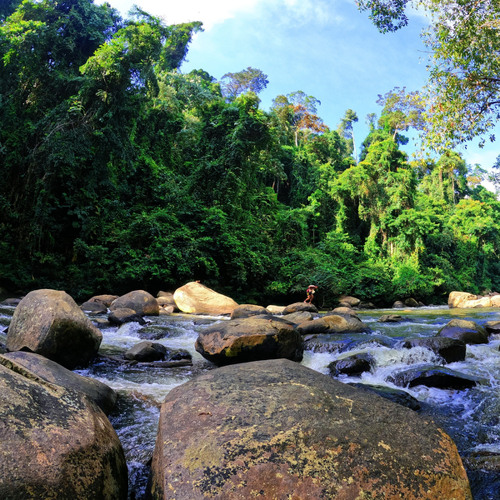 Stream TINGANG MORU (Remastered 2024) [feat. Leo Tanaka Nyadang] by Art ...