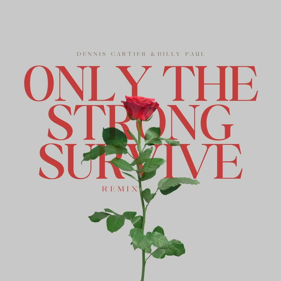 Stream Only The Strong Survive (Dennis Cartier Remix) by Dennis Cartier | Listen online for free ...