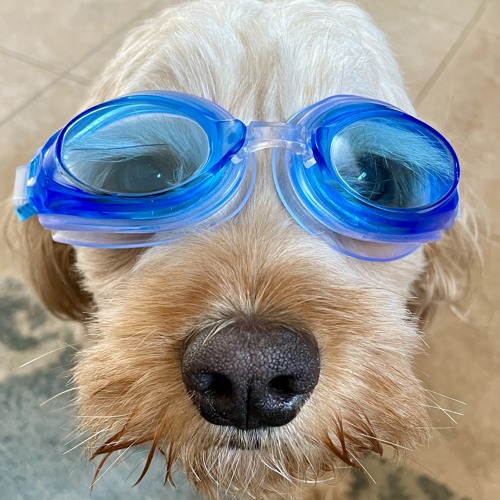 Stream LOS2 by Voltsmyth | Listen online for free on SoundCloud