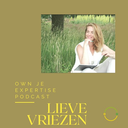 Stream episode Afl. 96 Dit is hoe je veiligheid bij je lead creëert in ...