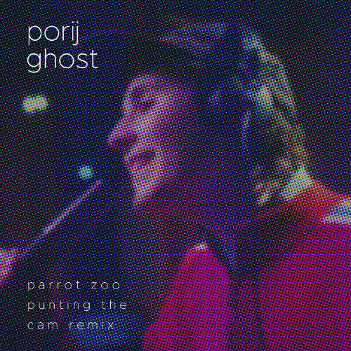 Stream Ghost (Parrot Zoo Punting The Cam Remix) by Parrot Zoo | Listen ...