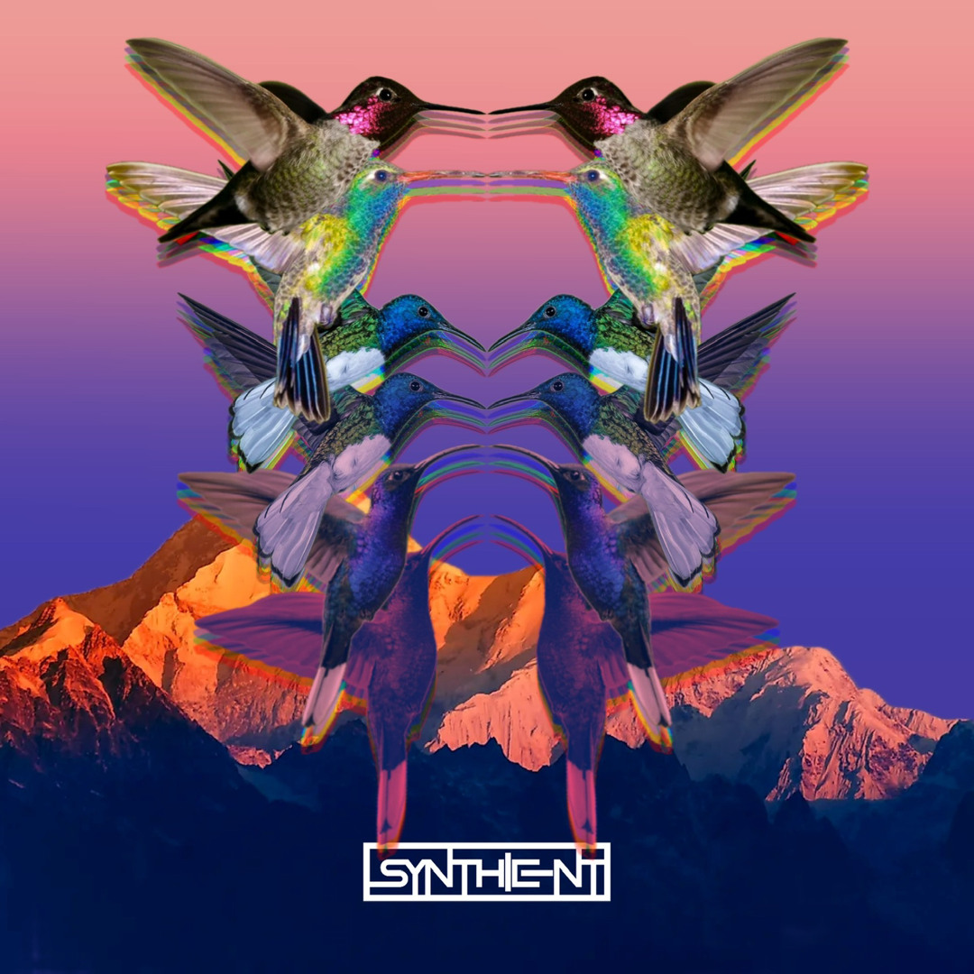 Stream What's That Called by Synthient | Listen online for free on ...