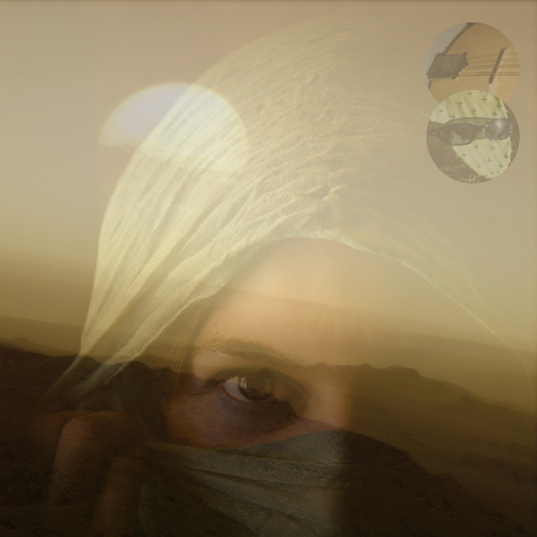 Stream Beyond the Veiled Horizon - in collaboration with D Zeitlin by ...