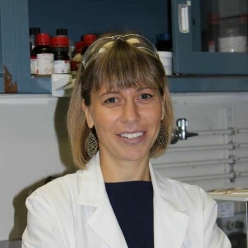 Stream episode Laura Fabris, PhD, on Intracellular Monitoring of Viral ...