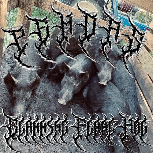 Stream P.E.M.D.A.S -Putrid Stu & Devourment (Vocal Cover) by Slamming ...