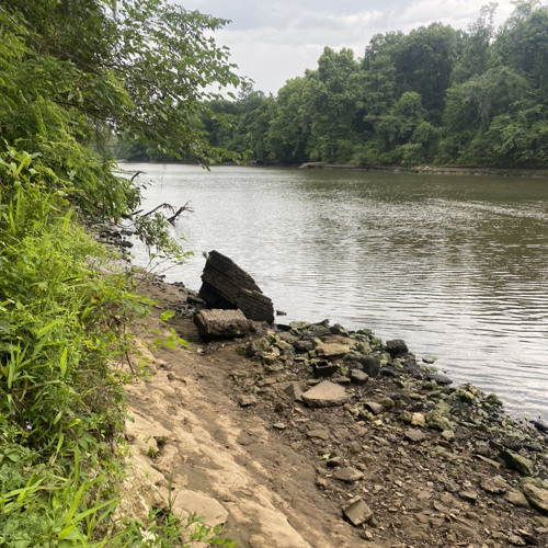 Stream Sosa - Ring by Swervsito | Listen online for free on SoundCloud