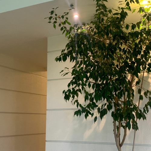 Stream lo correcto by saintflaco | Listen online for free on SoundCloud