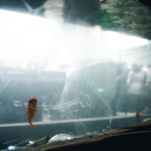 Powel - Playing Music To A Wall #6 2024-10-24