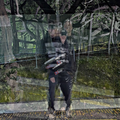 Stream Vanilla Gorilla Pimp (prod. sapfir) by ♡ DIGGY RTF ♡ | Listen ...