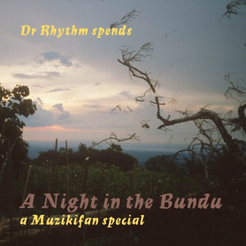 Stream A Night In The Bundu by muzikifan | Listen online for free on ...