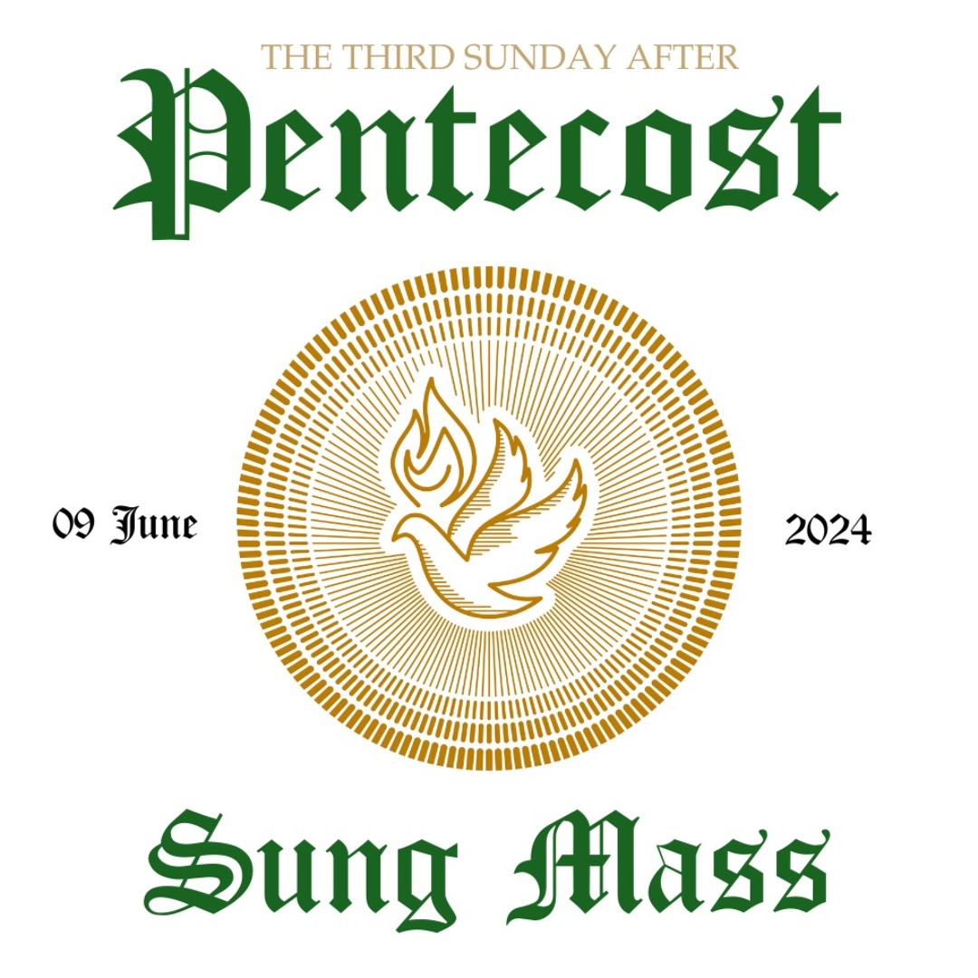 Stream Sermon for the Third Sunday after Pentecost 2024 by Fr Matthew ...