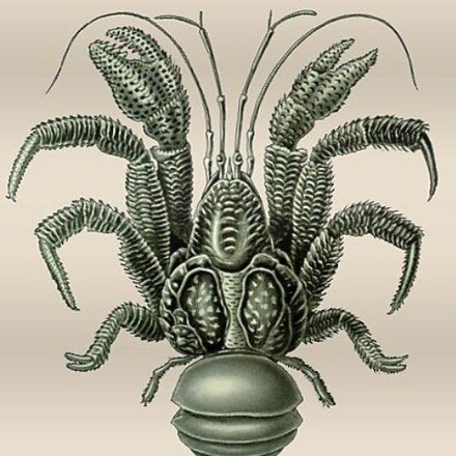 Stream coco crab please don't hurt me.mp3 by Kayot Priest | Listen ...