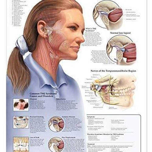 Stream episode PDF_ Temporomandibular Joint (TMJ) Anatomical Chart by ...