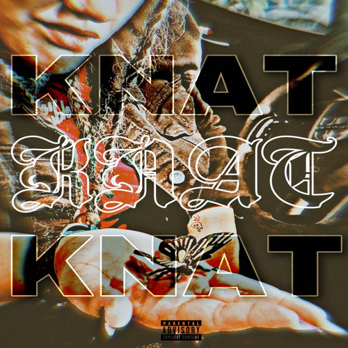 Stream KNAT KNAT by Ace SavXge | Listen online for free on SoundCloud