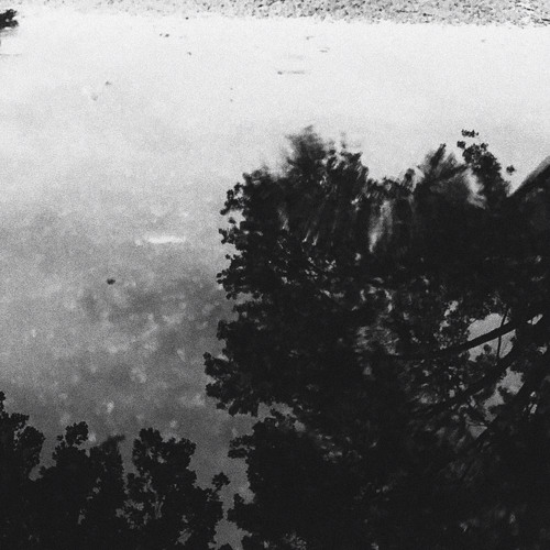 Stream the most peculiar movement by April Ephemeral | Listen online ...