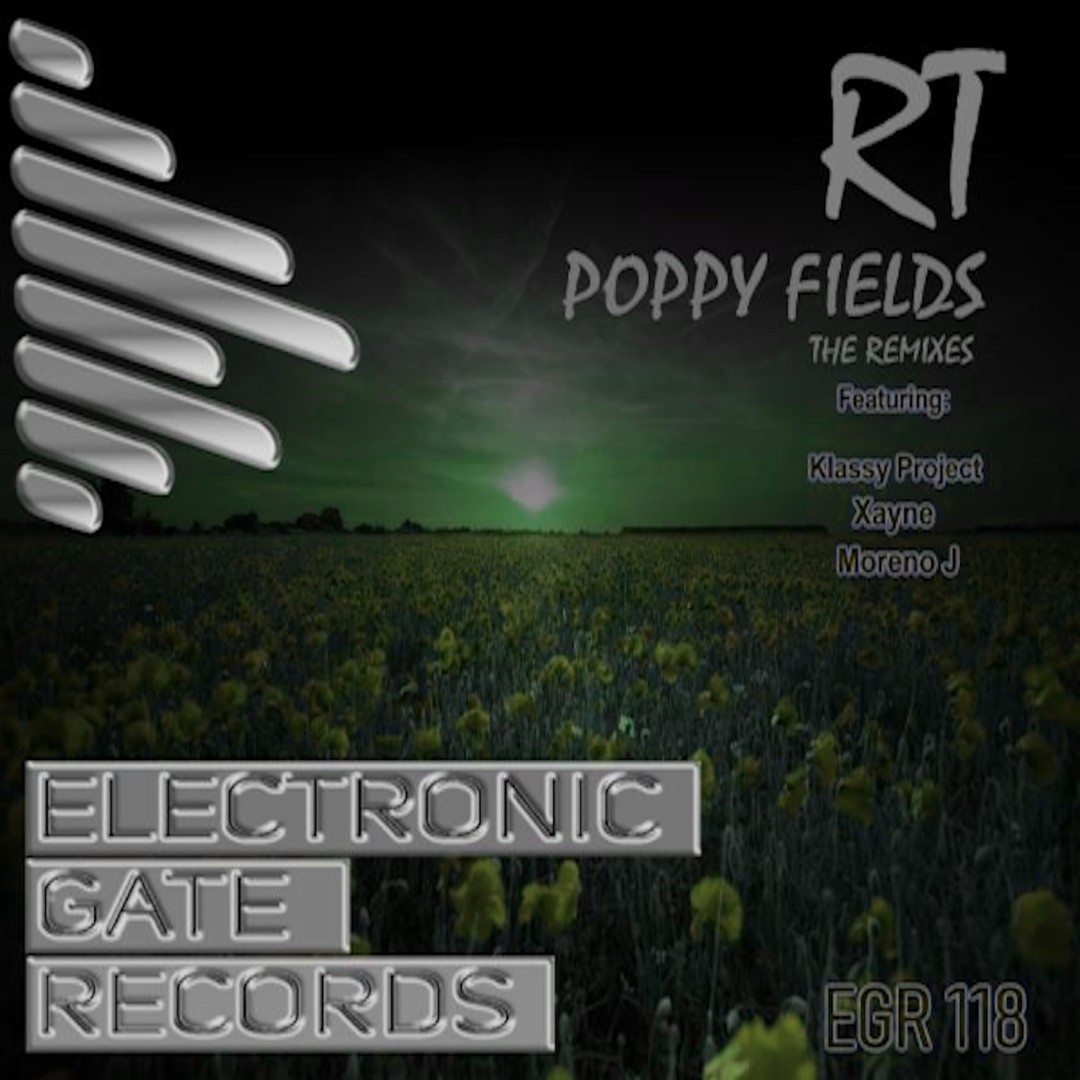 Stream Poppy Fields (Klassy Project Remix) by RT | Listen online for ...