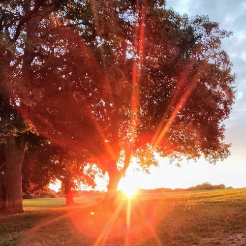 Stream adam baker | Listen to bakers summer beats😎 playlist online for ...