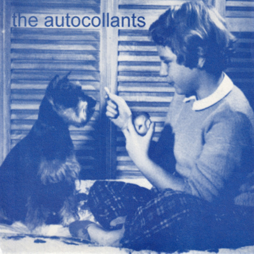 Stream Skybloom by The Autocollants | Listen online for free on SoundCloud