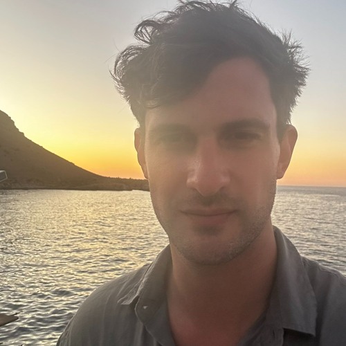 Stream David Adler on his abduction by Israeli forces and the ...