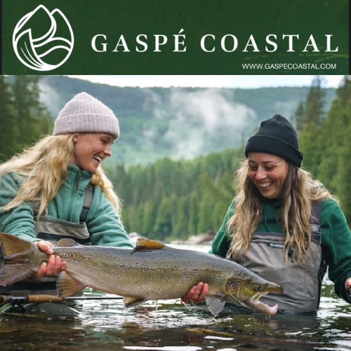 Stream episode 276 Sarah Nellis, Gaspe Coastal, Atlantic Salmon ...