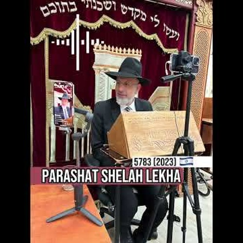 Stream Paracha Shelah Lekha 2023 - Message du Rav avant Shabbath by Rav David Touitou | Listen ...