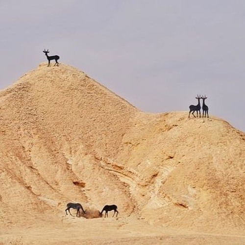 Stream 18JULY2024 - The Jay Shapiro Show by Israel News Talk Radio ...