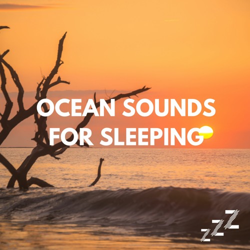 Stream sea sounds at night by Ocean Sounds for Sleeping | Listen online ...