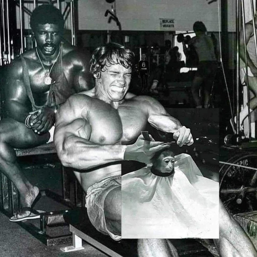 Stream Playboi Carti - Skeleton but is in Super Mario 64 - Whole Lotta ...