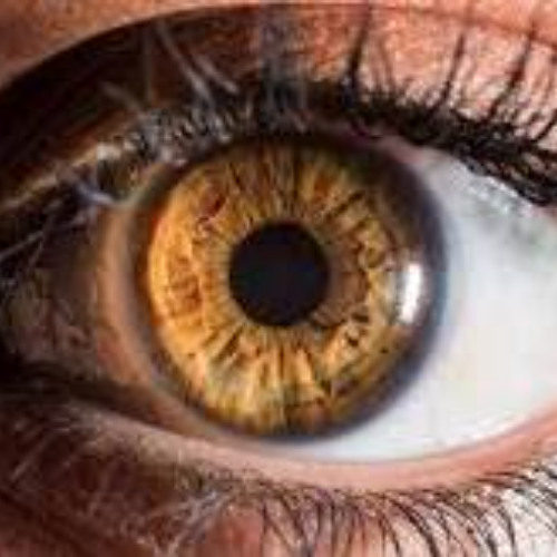 Stream Amanda Hug And Kiss by Count Stackula | Listen online for free ...