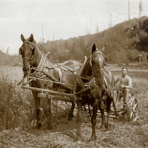 Stream April 3 2024 Polson Museum Centennial Moment By Polson Museum Listen Online For Free
