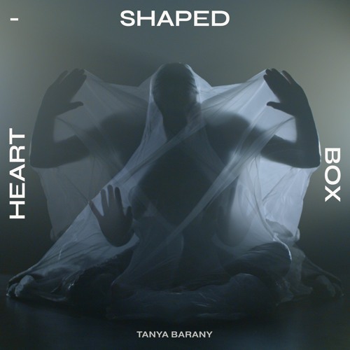 Stream Heart-Shaped Box (NIRVANA Cover) by BARANY | Listen online for ...