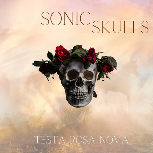 Stream Testa Rosa Nova - Sonic Skulls by Sonic Skulls | Listen online ...