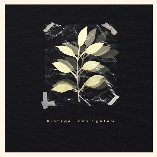Stream Vintage Echo System - Nuances by Vintage Echo System | Listen ...