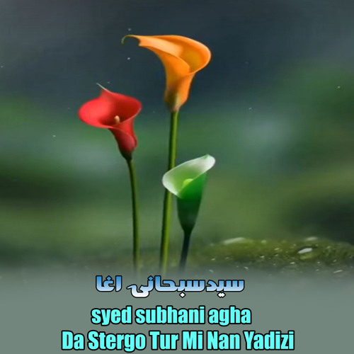Stream Zardi La Gombat Sama by Syed subhani Agha | Listen online for ...