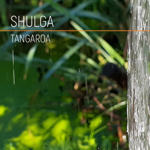 Stream Shulga | Listen to Tangaroa playlist online for free on SoundCloud