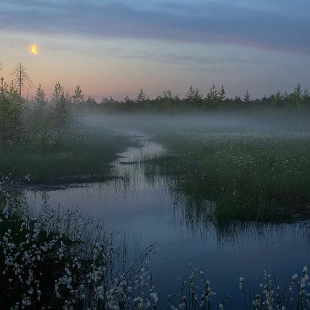 Stream القرآن، stars background 酪FREE DOWNLOAD by Andando Strumentale ...