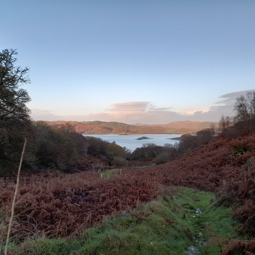 Stream At The Top Of Crinan Wood by Kenneth Dunlop | Listen online for ...