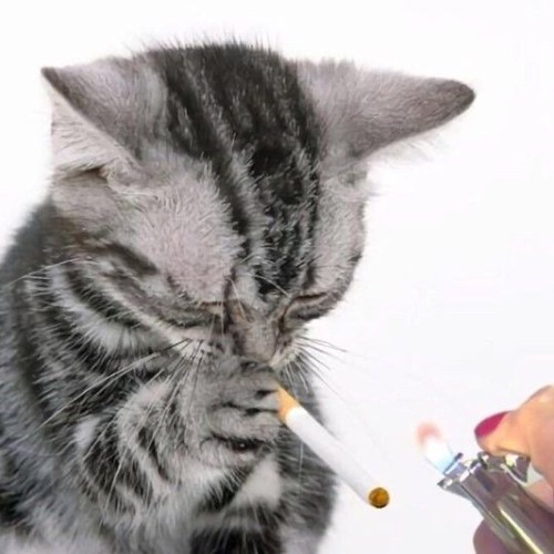 Stream Going away w/ guitarbf by awakeafterdark | Listen online for ...