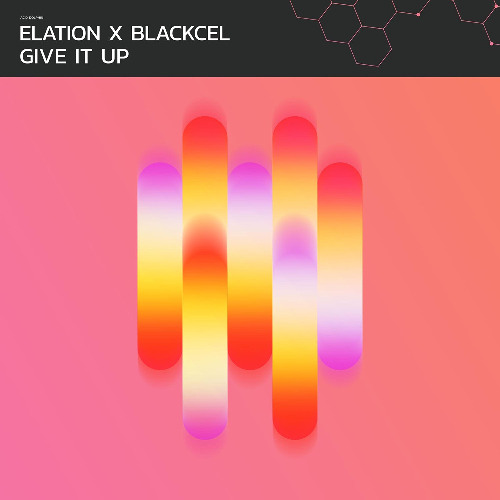 Stream Lee Rose (Acid Dolphin Records) | Listen to Elation, Blackcell ...